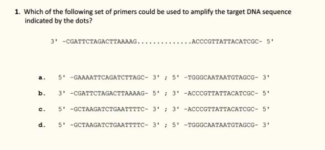 Solved 1. Which of the following set of primers could be | Chegg.com