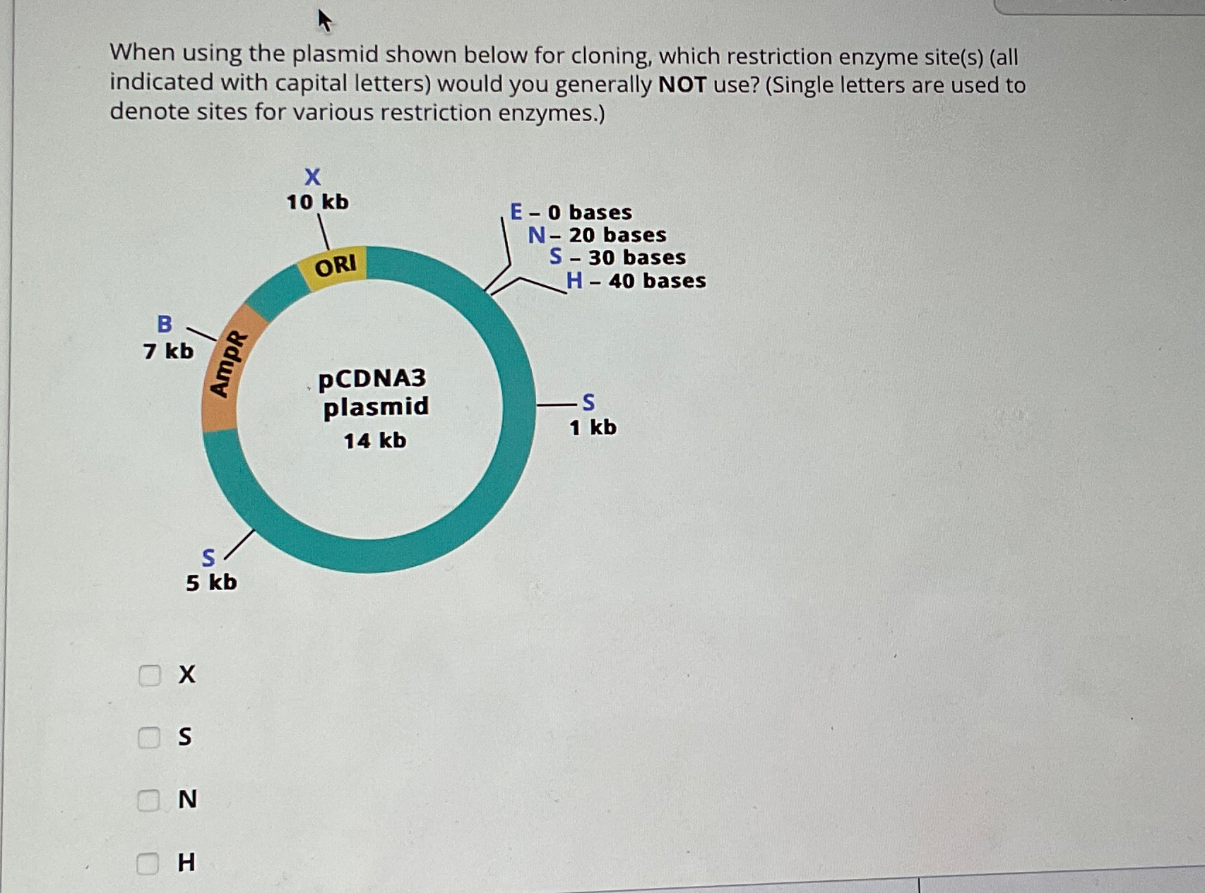 Solved When using the plasmid shown below for cloning, which | Chegg.com