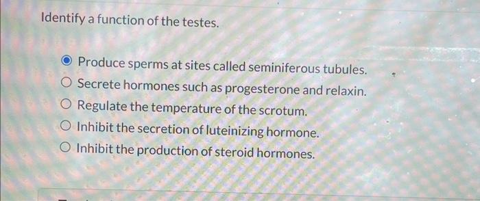 Identify a function of the testes. Produce sperms at | Chegg.com