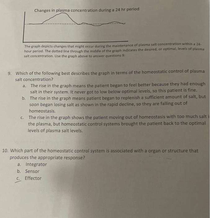 Solved Changes in plasma concentration during a 24hr period | Chegg.com