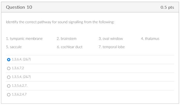 Solved Question 10 Identify the correct pathway for sound | Chegg.com