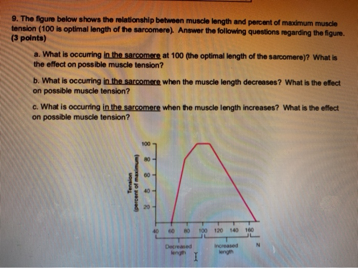 Solved 5. Describe the specific characteristics of treppe, | Chegg.com