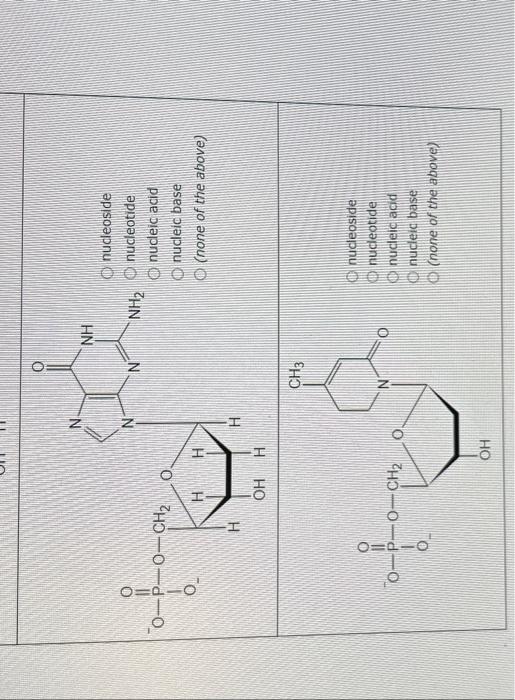 Solved Classify each molecule: nucleoside nucleotide nucleic | Chegg.com