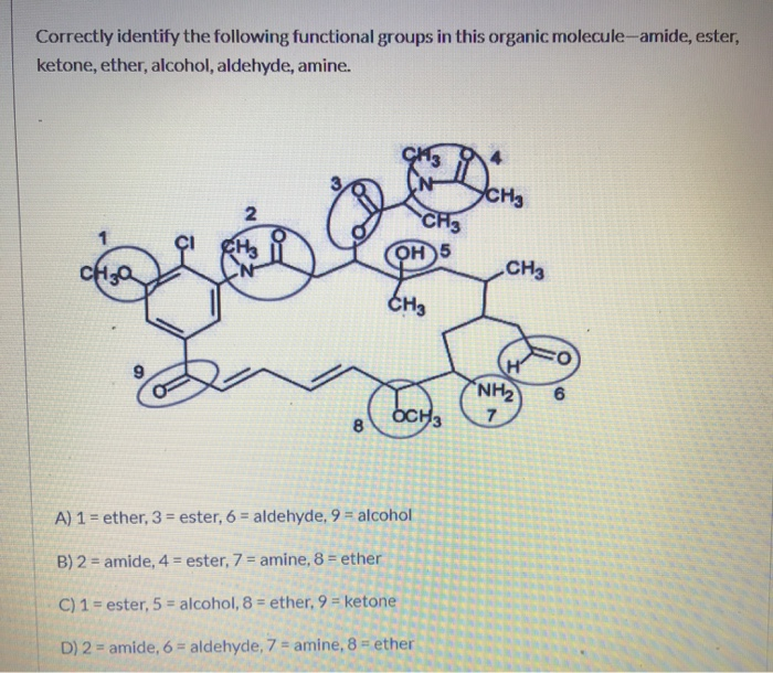 Solved Correctly identify the following functional groups in | Chegg.com