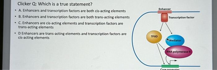 Solved - Clicker Q: Which is the repressor? - A. Gal80, Gal3 | Chegg.com