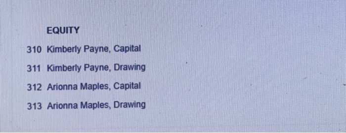 Solved Instructions Kimberly Payne and Arionna Maples decide | Chegg.com