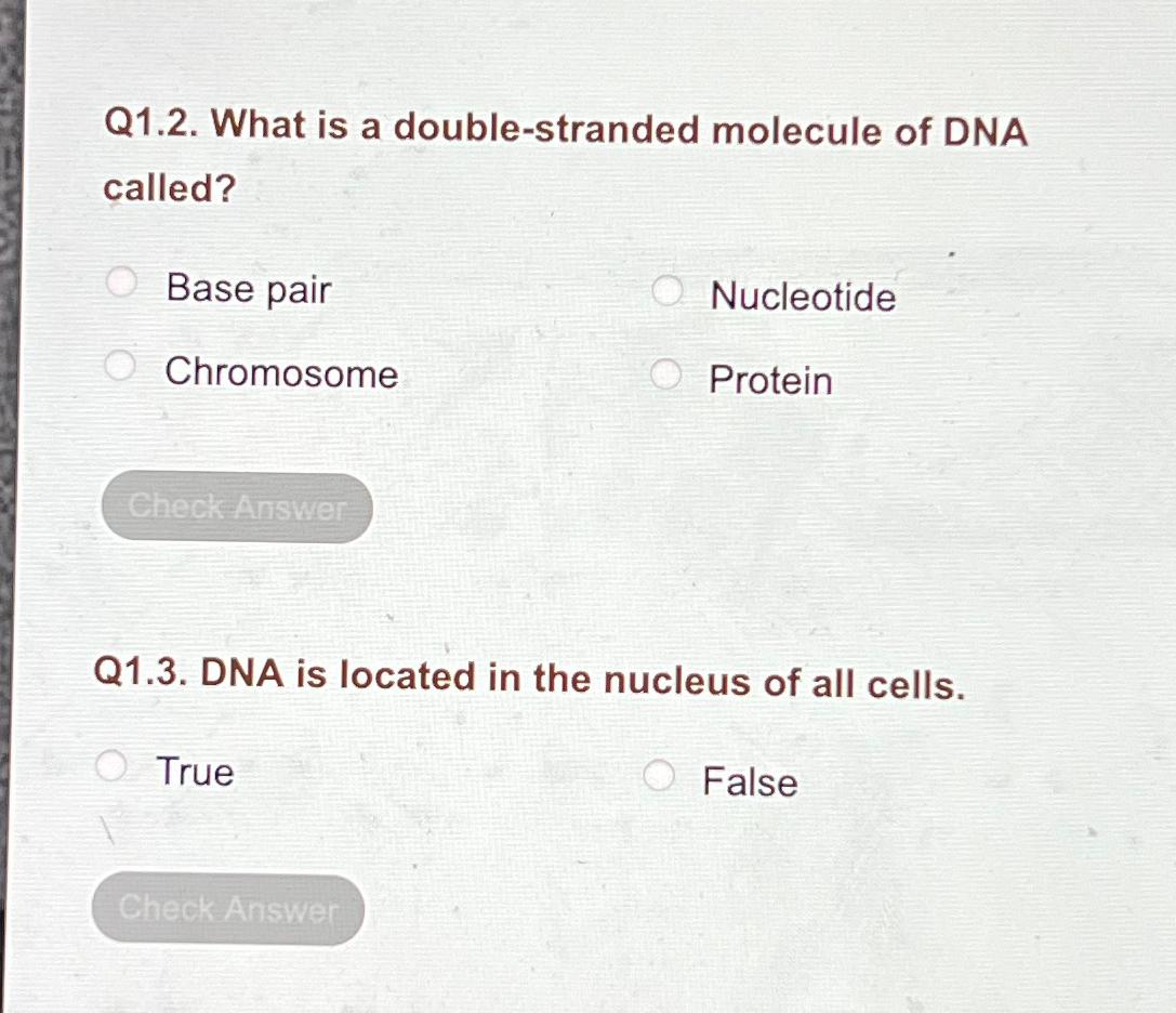 Solved Q1.2. ﻿What is a double-stranded molecule of DNA | Chegg.com
