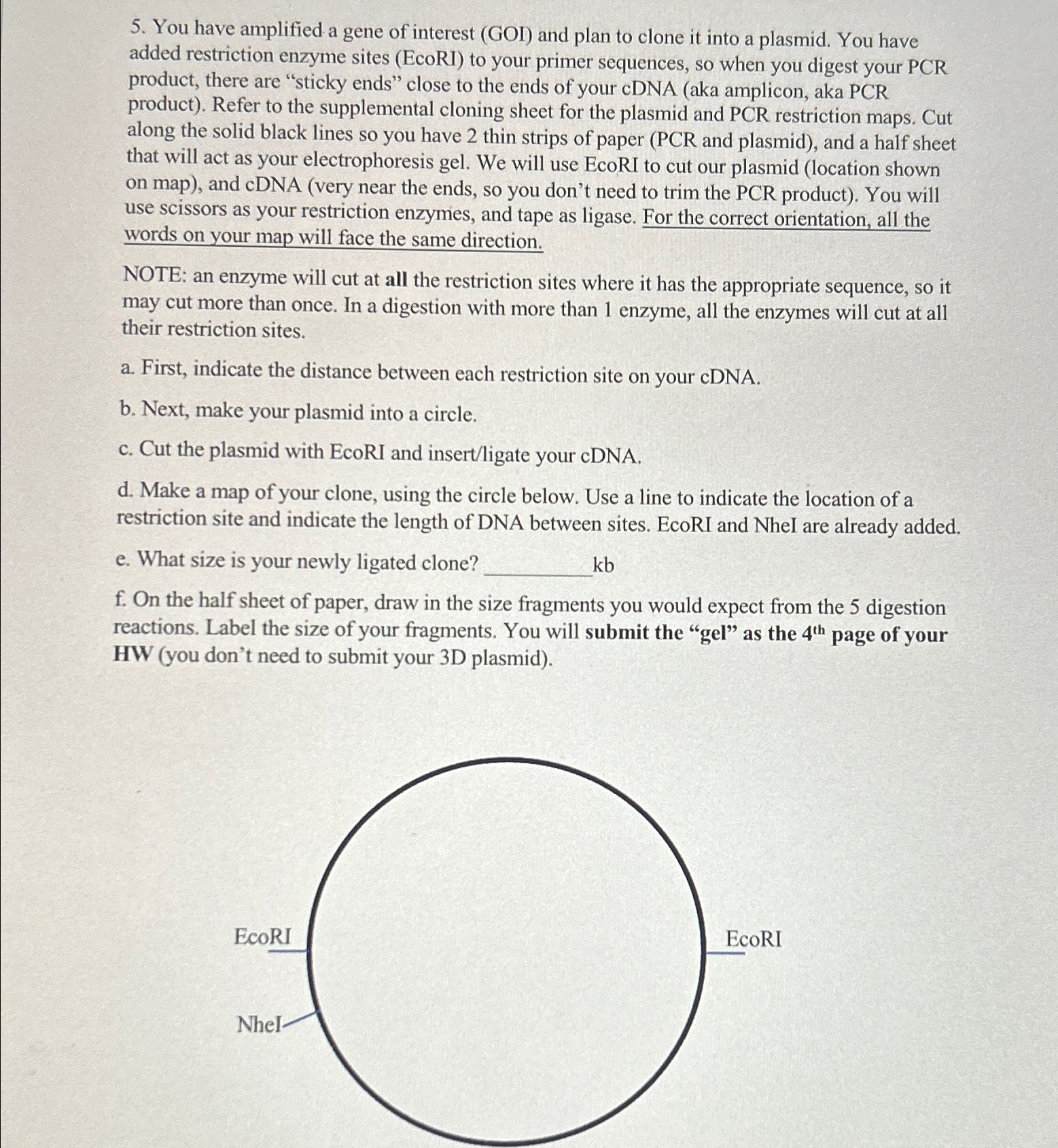 You have amplified a gene of interest (GOI) ﻿and plan | Chegg.com