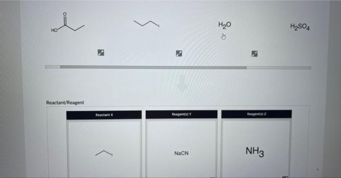 Consider the two-step synthesis of an amide, | Chegg.com
