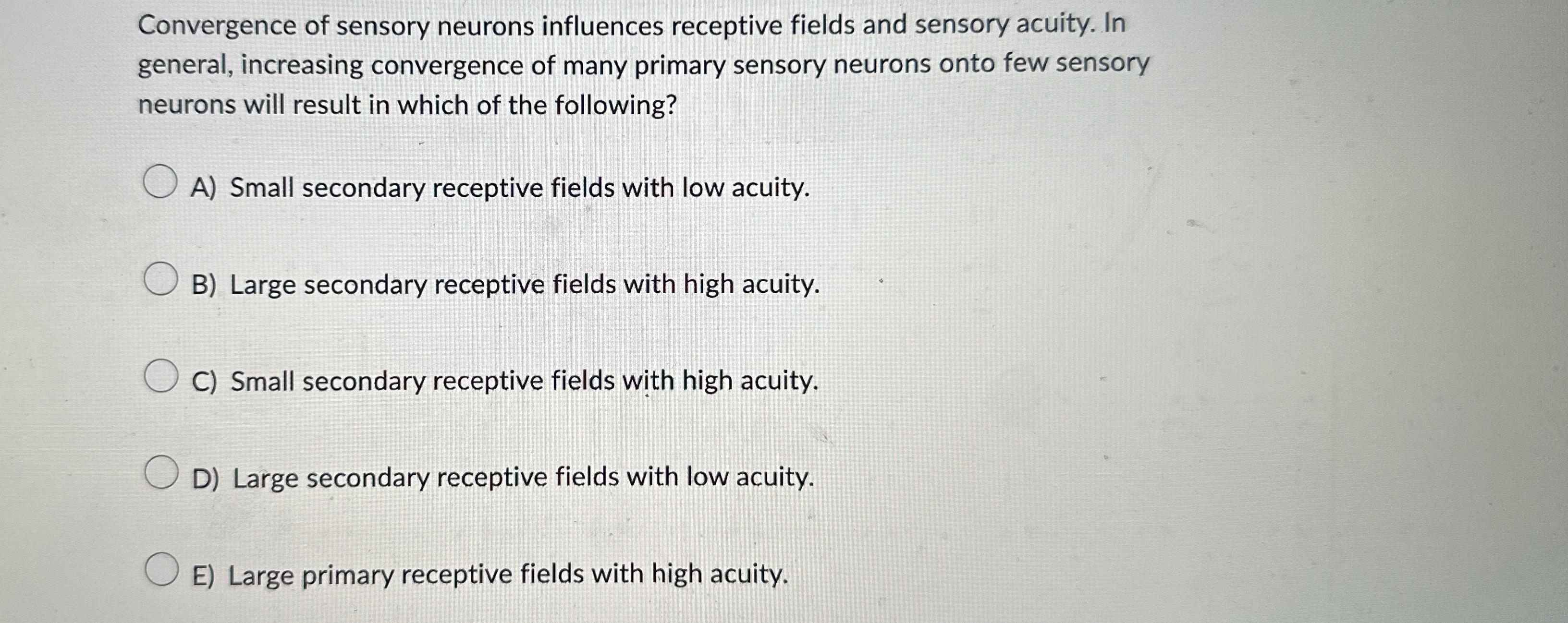 Solved Convergence of sensory neurons influences receptive | Chegg.com