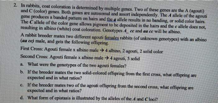 Solved 2. In rabbits, coat coloration is determined by | Chegg.com