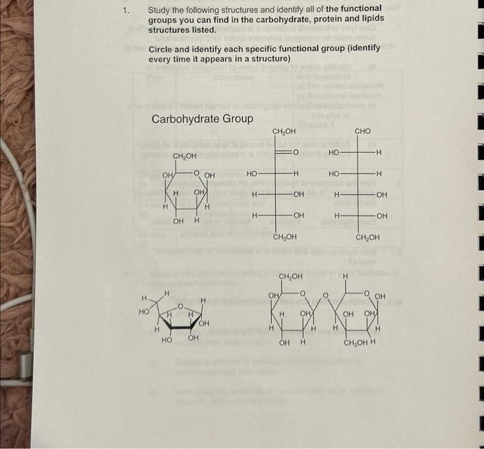 1. Study the following structures and identify all of | Chegg.com