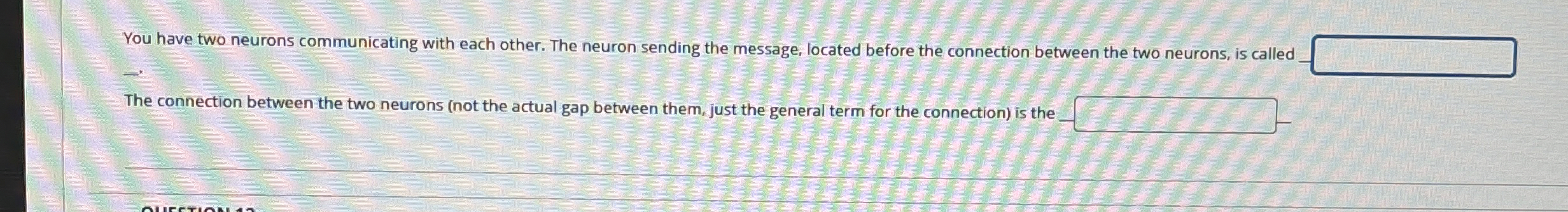 You have two neurons communicating with each other. | Chegg.com