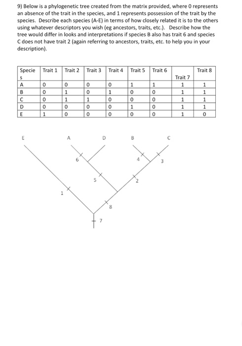 Solved 9) Below is a phylogenetic tree created from the | Chegg.com