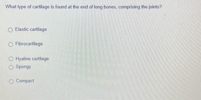 Solved What type of cartilage is found at the end of long | Chegg.com