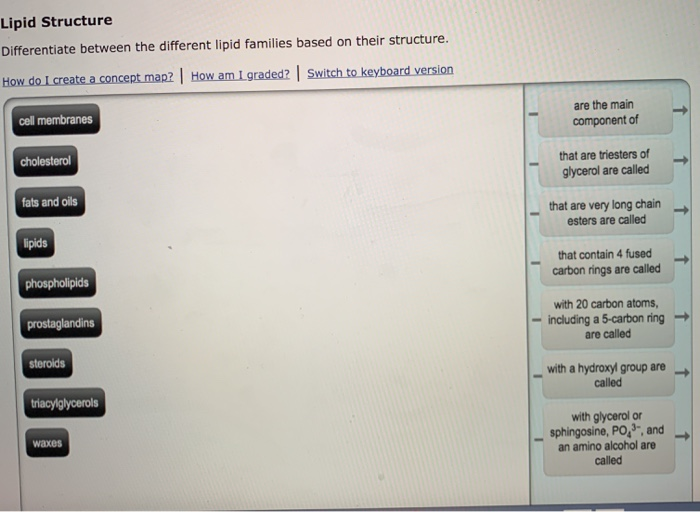 Solved Lipid Structure Differentiate between the different | Chegg.com