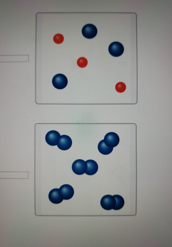 Solved QUESTION 12 Classify each image as showing a pure | Chegg.com