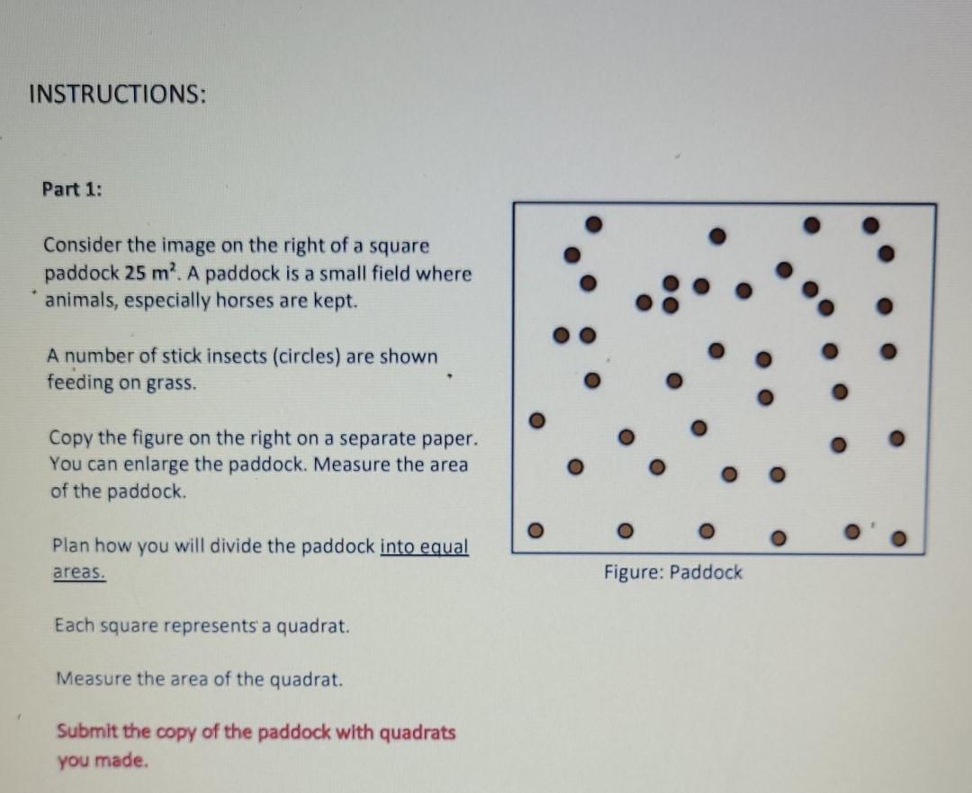 Solved INSTRUCTIONS: Part 1: Consider the image on the right | Chegg.com