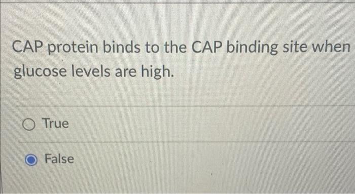 Solved CAP protein binds to the CAP binding site when | Chegg.com