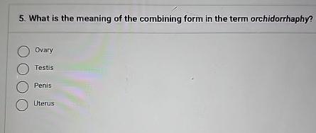 Solved What is the meaning of the combining form in the term | Chegg.com