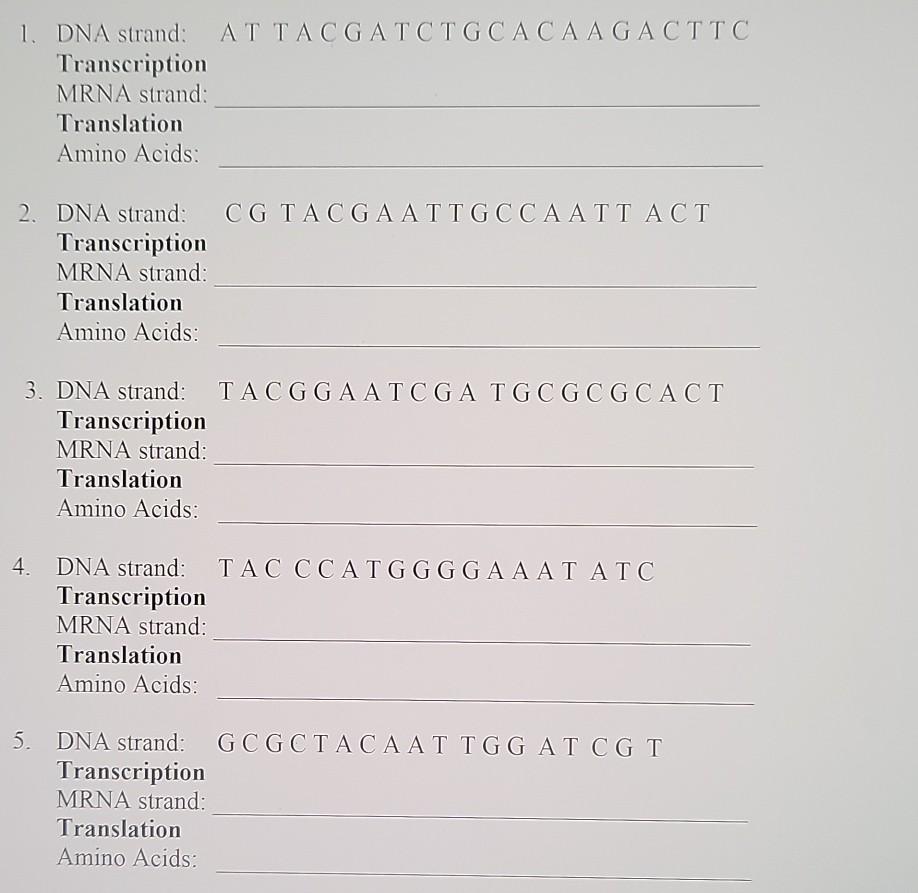 Solved 1. DNA strand: AT TACGATCTGCACA AGACTIC Transcription | Chegg.com