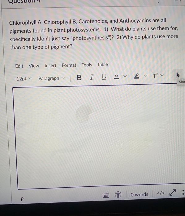 Solved Chlorophyll A, Chlorophyll B, Carotenoids, and | Chegg.com