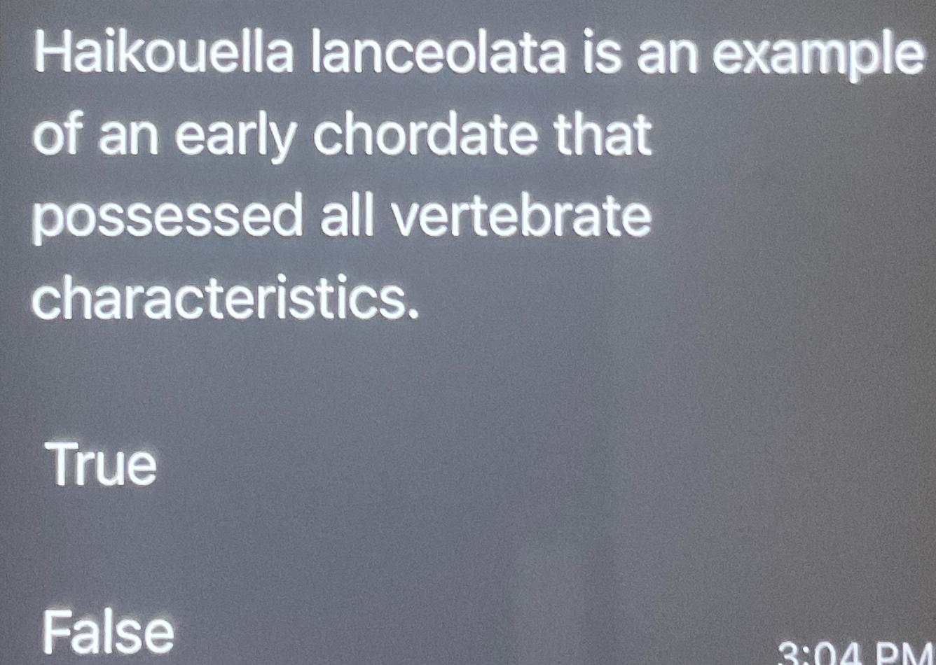 Solved Haikouella lanceolata is an example of an early | Chegg.com