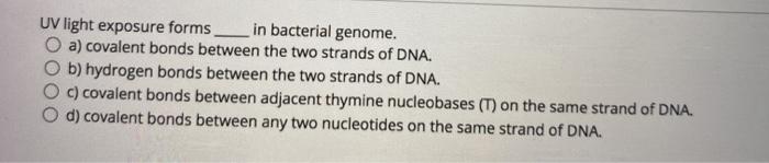 Solved All of the following interfere with bacterial protein | Chegg.com