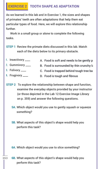 Solved EXERCISE 2 TOOTH SHAPE AS ADAPTATION As we learned in | Chegg.com