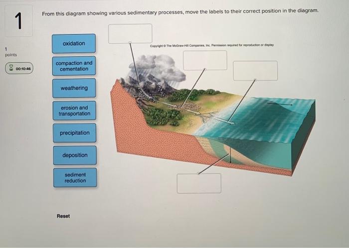 Solved From this diagram showing various sedimentary | Chegg.com