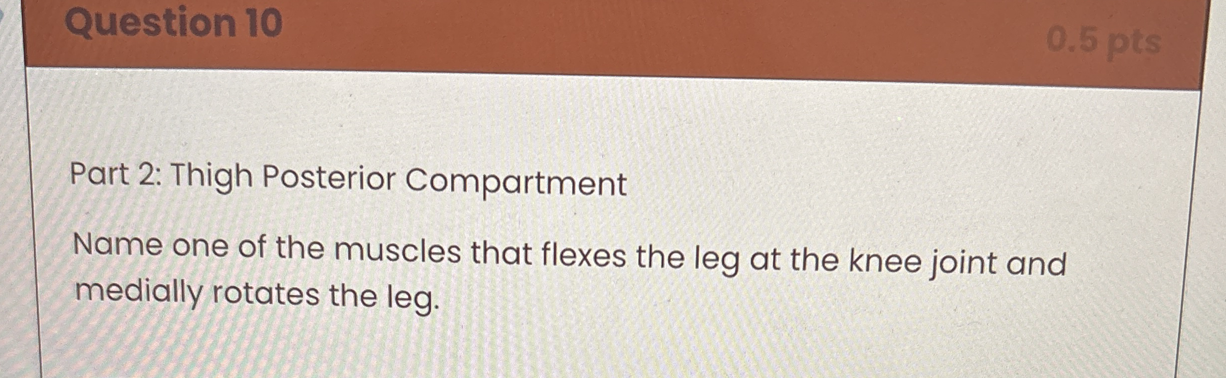Solved Question 100.5 ﻿ptsPart 2: Thigh Posterior | Chegg.com