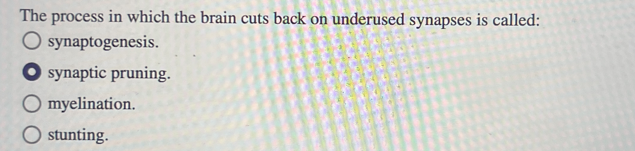 Solved The process in which the brain cuts back on underused | Chegg.com