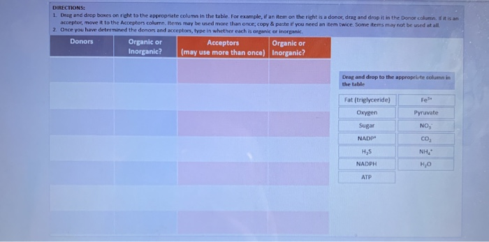 Solved DIRECTIONS: 1. Drag and drop bones on right to the | Chegg.com