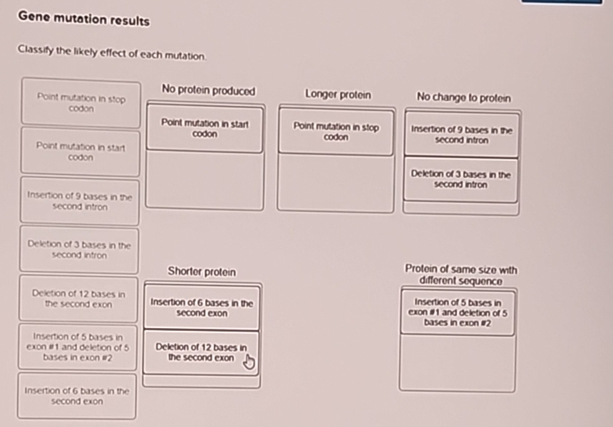 Solved Gene mutotion resultsClassity the likely effect of | Chegg.com