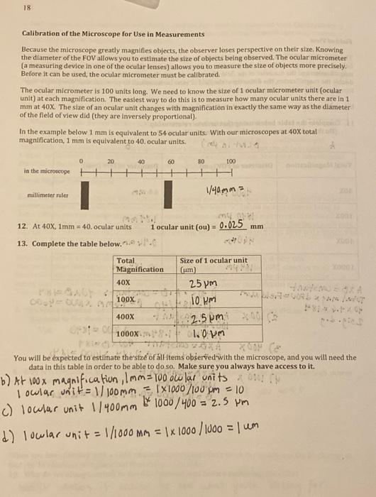 Solved 18 Calibration of the Microscope for use in | Chegg.com