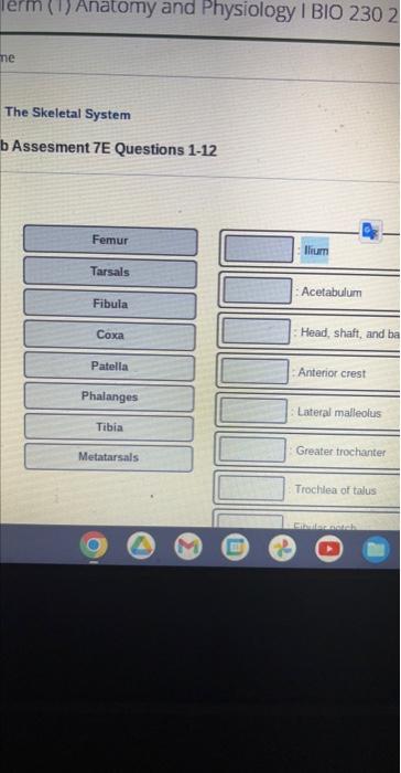 b Assesment 7E Questions 1-12 | Chegg.com