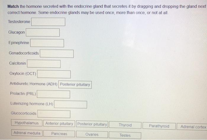 Solved Match the hormone secreted with the endocrine gland | Chegg.com