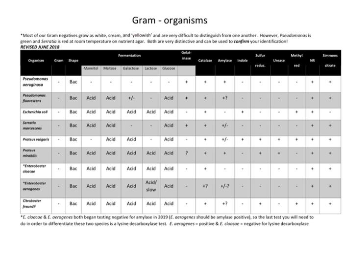 Solved Using the information from the Gram negative chart, | Chegg.com