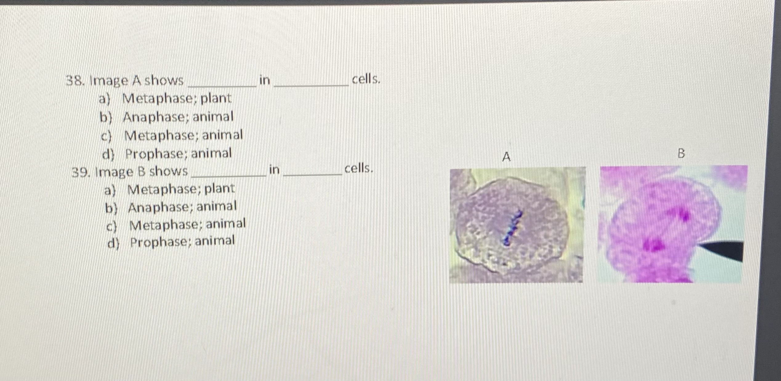 Solved Image A shows in cells.a) ﻿Metaphase; plantb) | Chegg.com