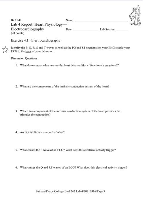 Solved Biol 242 Name: Lab 4 Report: Heart Physiology- | Chegg.com