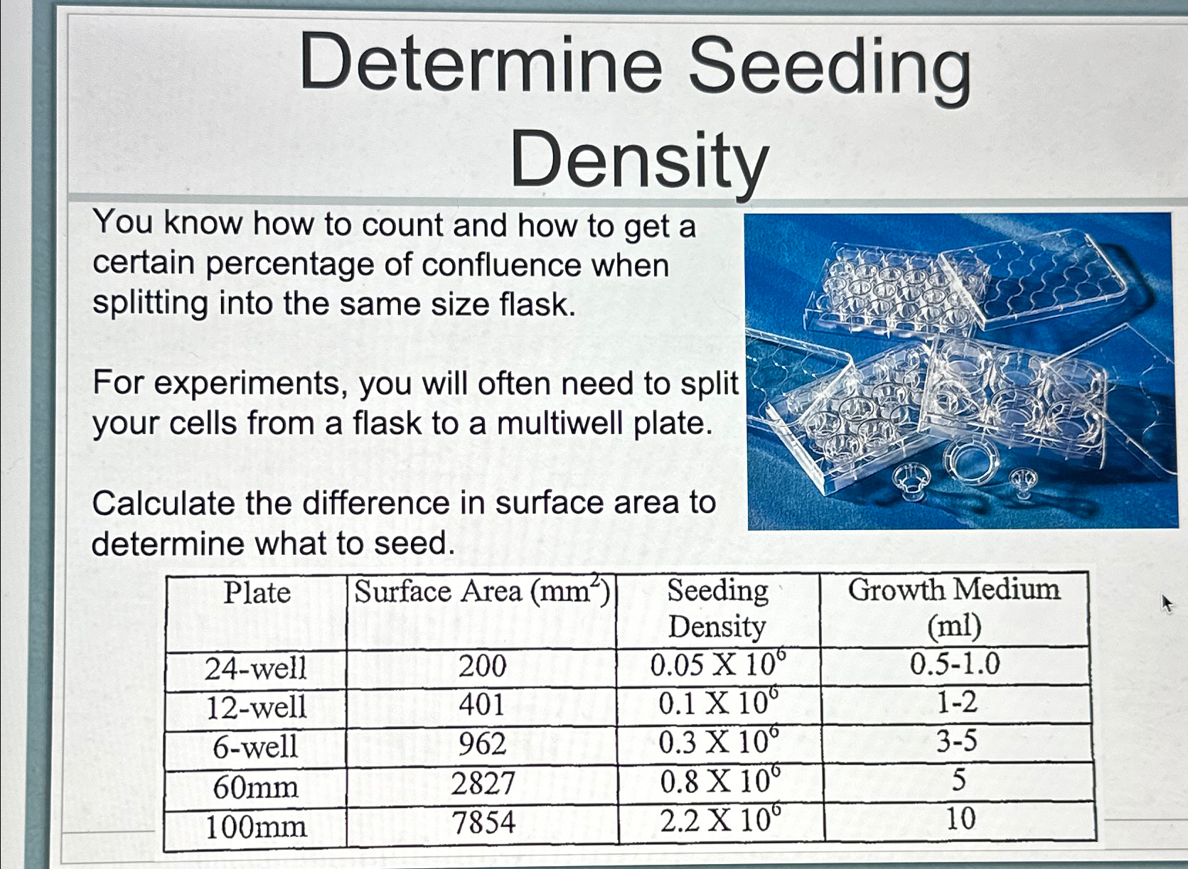 Solved Determine Seeding DensityYou know how to count and | Chegg.com