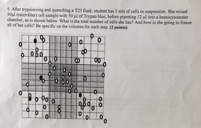 5. After trypsinizing and quenching a T25 flask, | Chegg.com