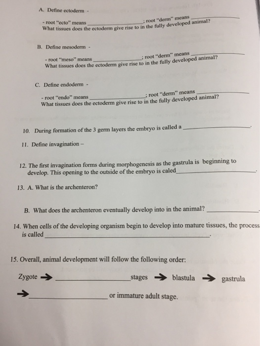 Solved A. Define ectoderm - root "derm" means -root "ecto" | Chegg.com