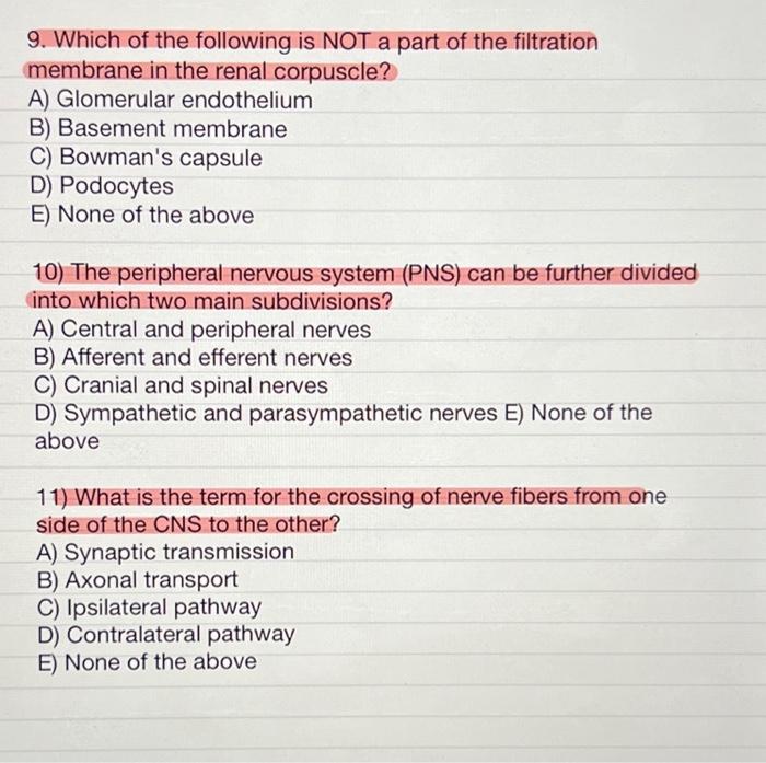 Solved 1) Which of the following is a true statement | Chegg.com