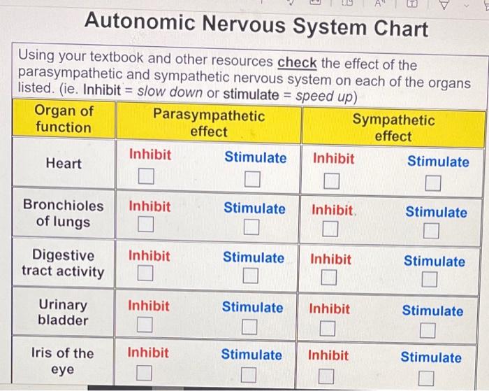 Parasympathetic And Sympathetic Nervous System Chart