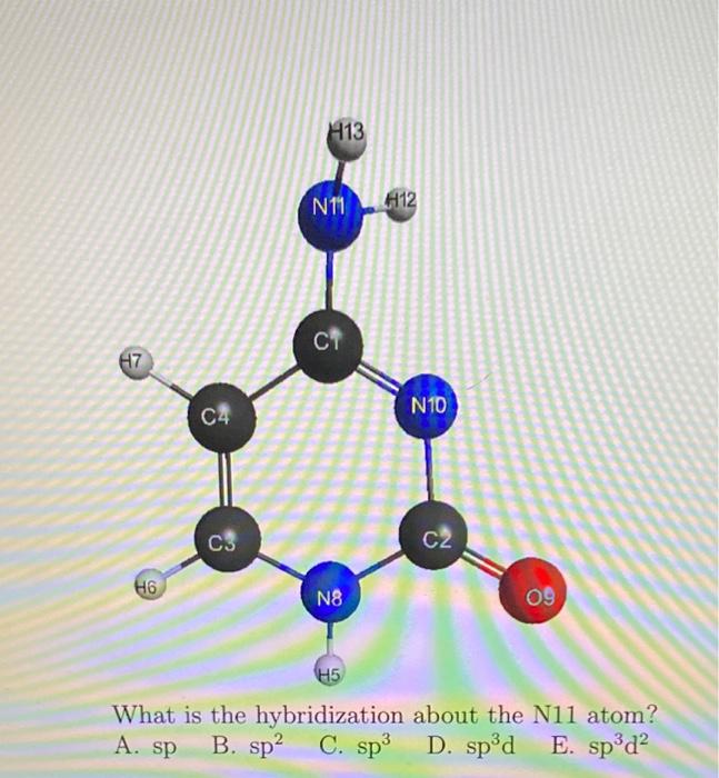 Solved H13 N11 A12 CT H7 N10 C4 C3 C2 H6 N8 09 H5 What is | Chegg.com