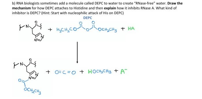 4. Look back at the mechanism of RNase A. a) Explain | Chegg.com