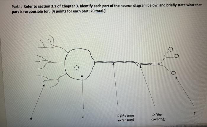Solved Part 1: Refer to section 3.2 of Chapter 3. Identify | Chegg.com