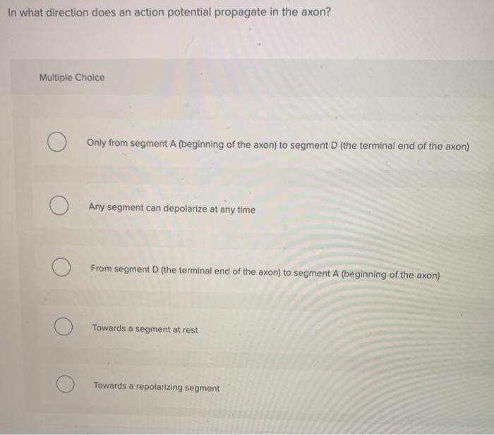 Solved In what direction does an action potential propagate | Chegg.com