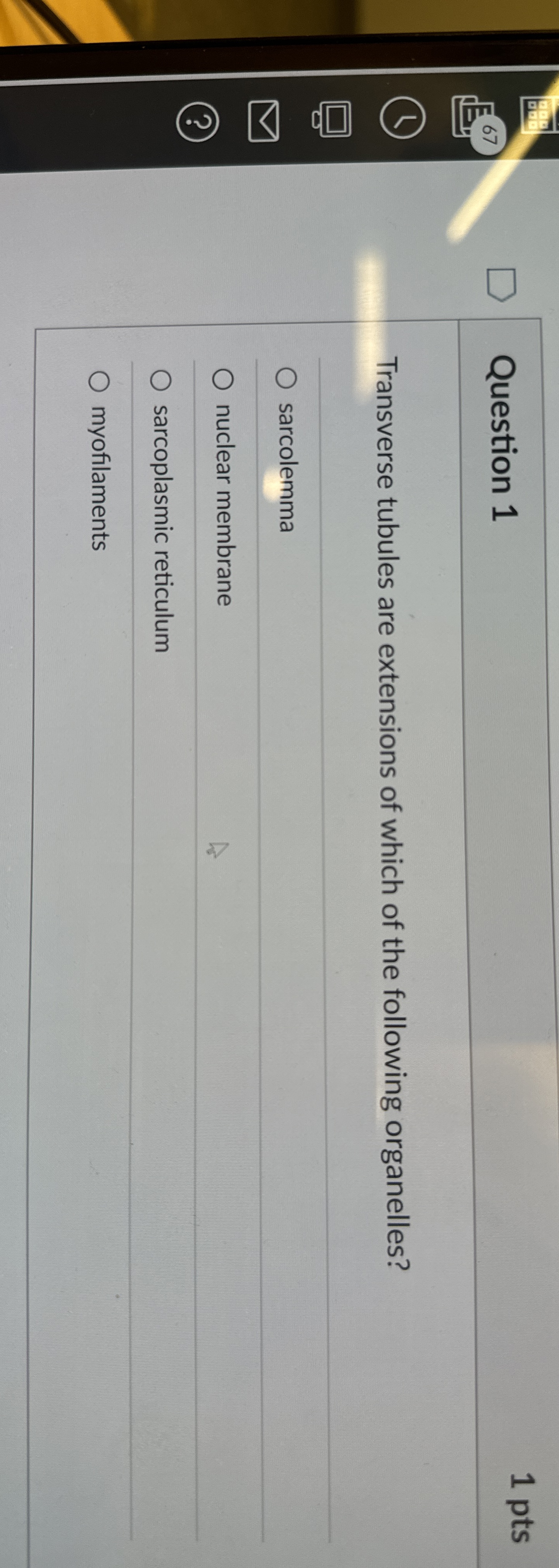 Solved Question 11 ﻿ptsTransverse tubules are extensions of | Chegg.com